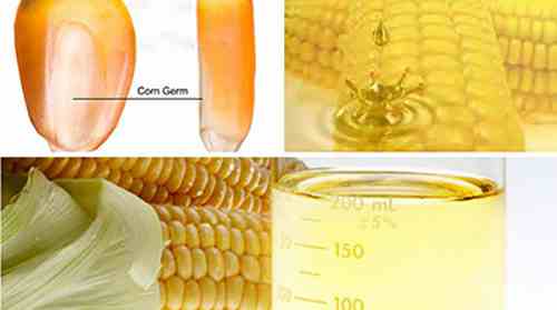 How to Extract Oil from Corn - Huatai Oil Processing Equipment - Huatai ...