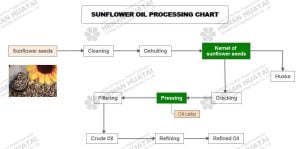 Sunflower oil production line | Sunflower oil press