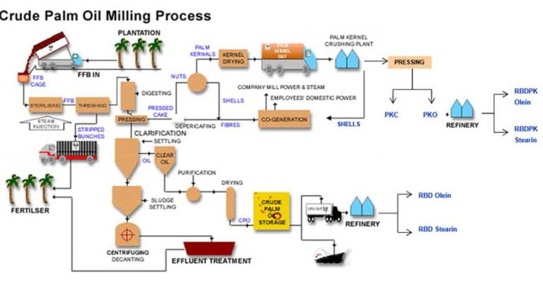 Palm oil production line | Palm oil mill