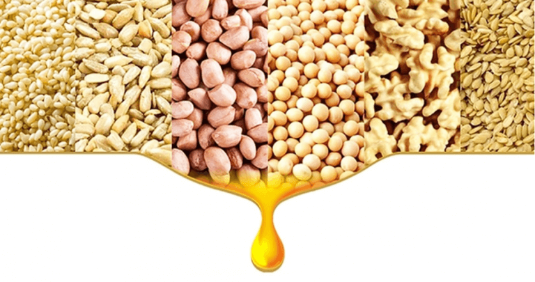 Edible Oil Solvent Extraction System