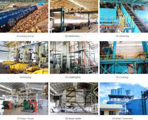 Palm oil production line | Palm oil mill - Huatai Oil Machinery