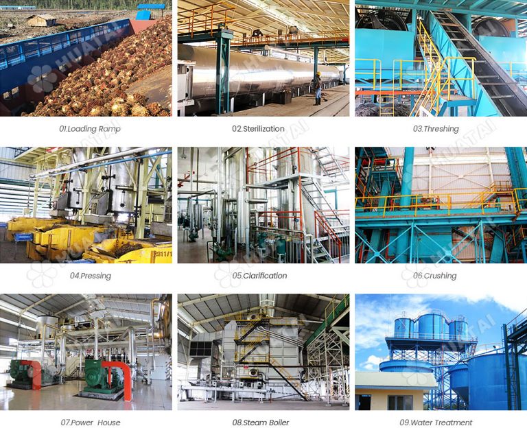 Palm oil production line | Palm oil mill - Huatai Oil Machinery