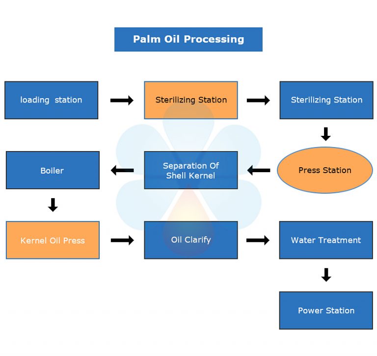 Palm Fruit ( Kernel) Oil Processing - Huatai Oil Machinery