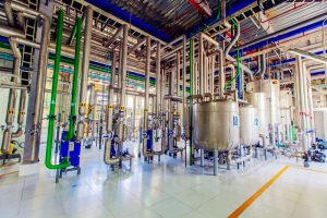 Edible oil Refining