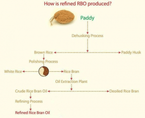 Rice Bran Oil Production Line | Expanding Extraction & Physical ...