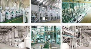 Rice processing and milling technology - Huatai Oil Machinery