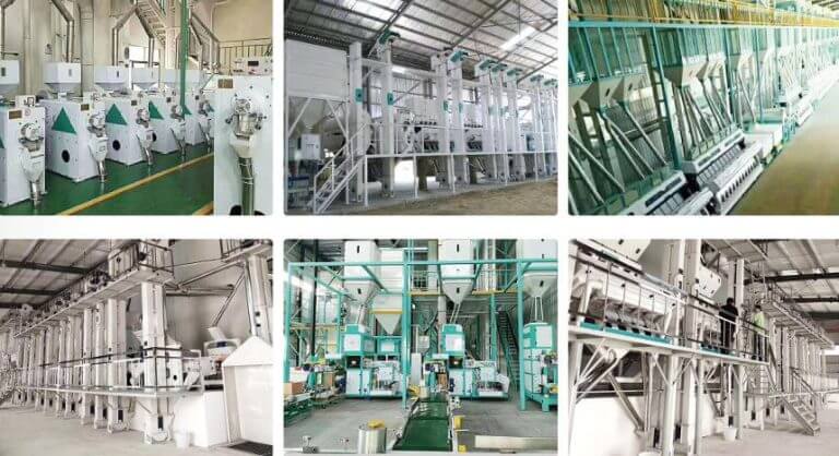 Rice processing and milling technology