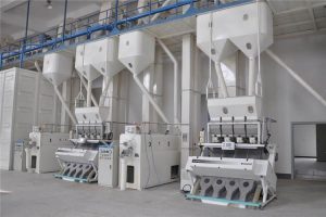 rice milling process - Huatai Oil Machinery